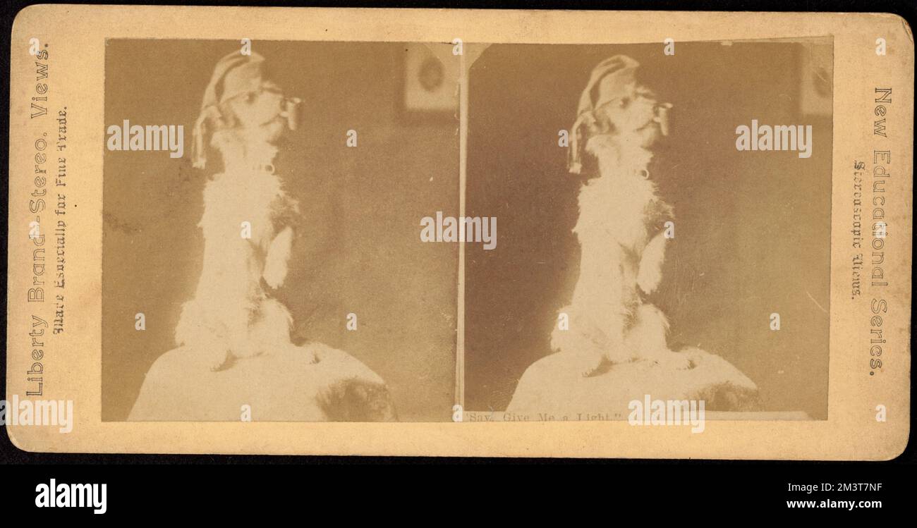 'Say, give me a light' , Dogs, Pipes Smoking Stock Photo - Alamy