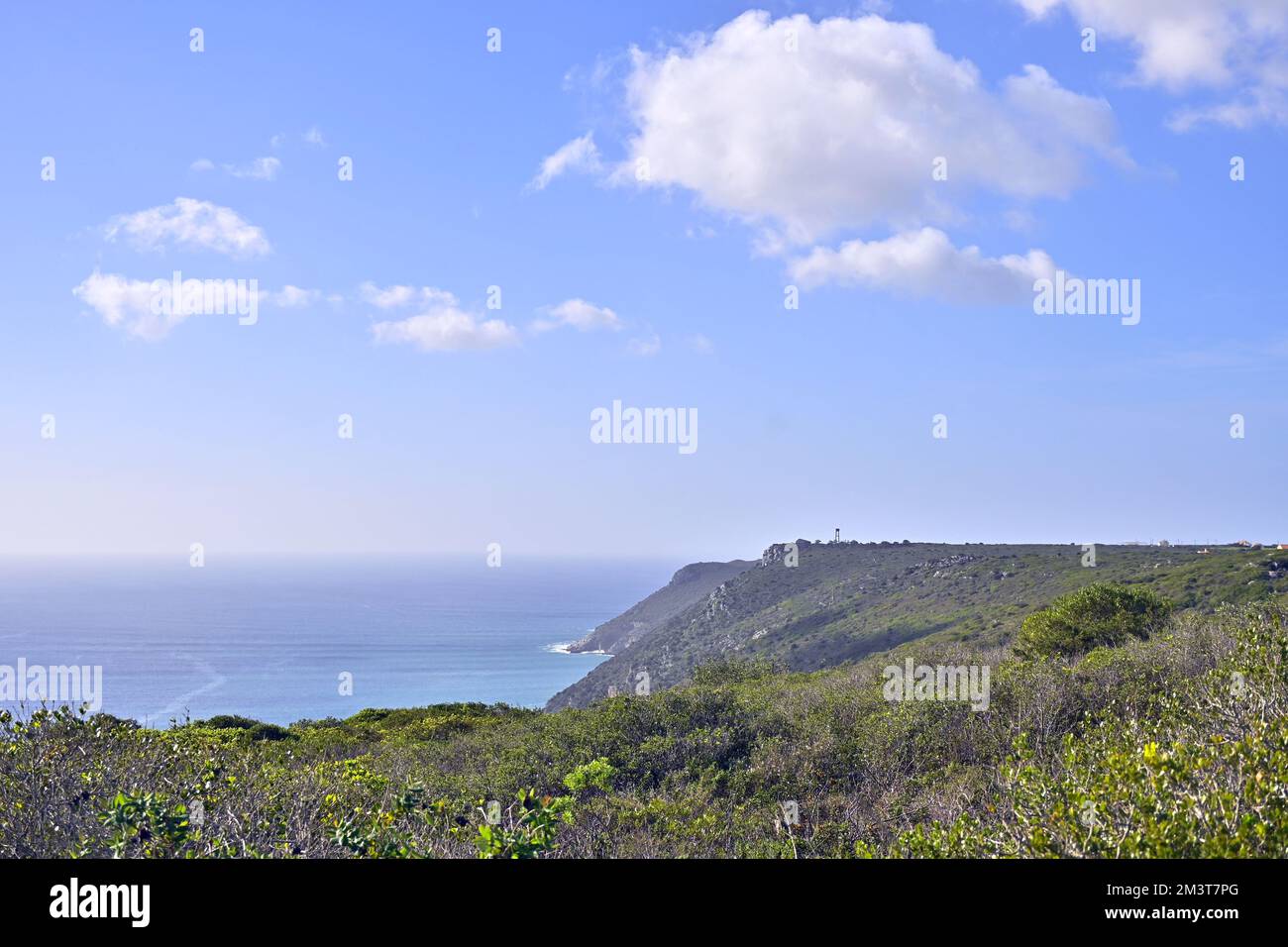 The impressive rocky cliffs covered with greenery on Atlantic Ocean coast in Portugal under blue ...
