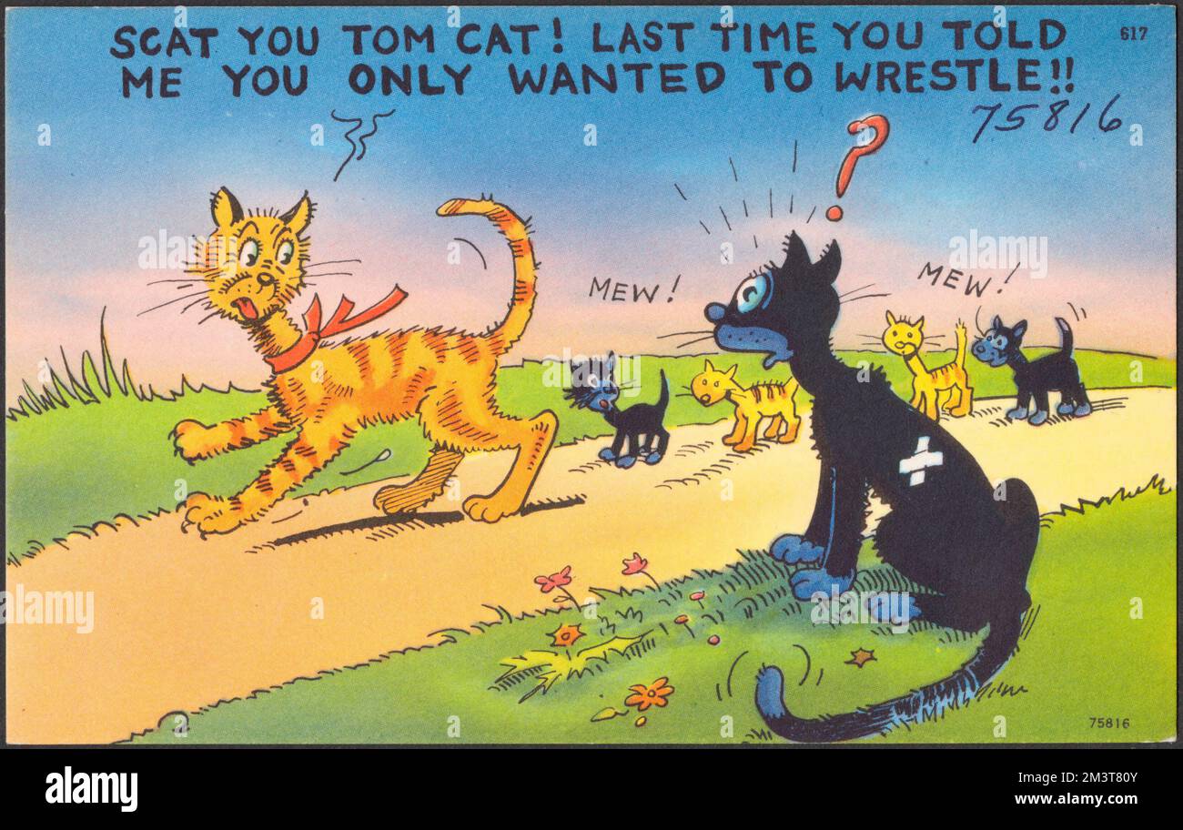 Scat you tom cat! Last time you told me you only wanted to wrestle ...
