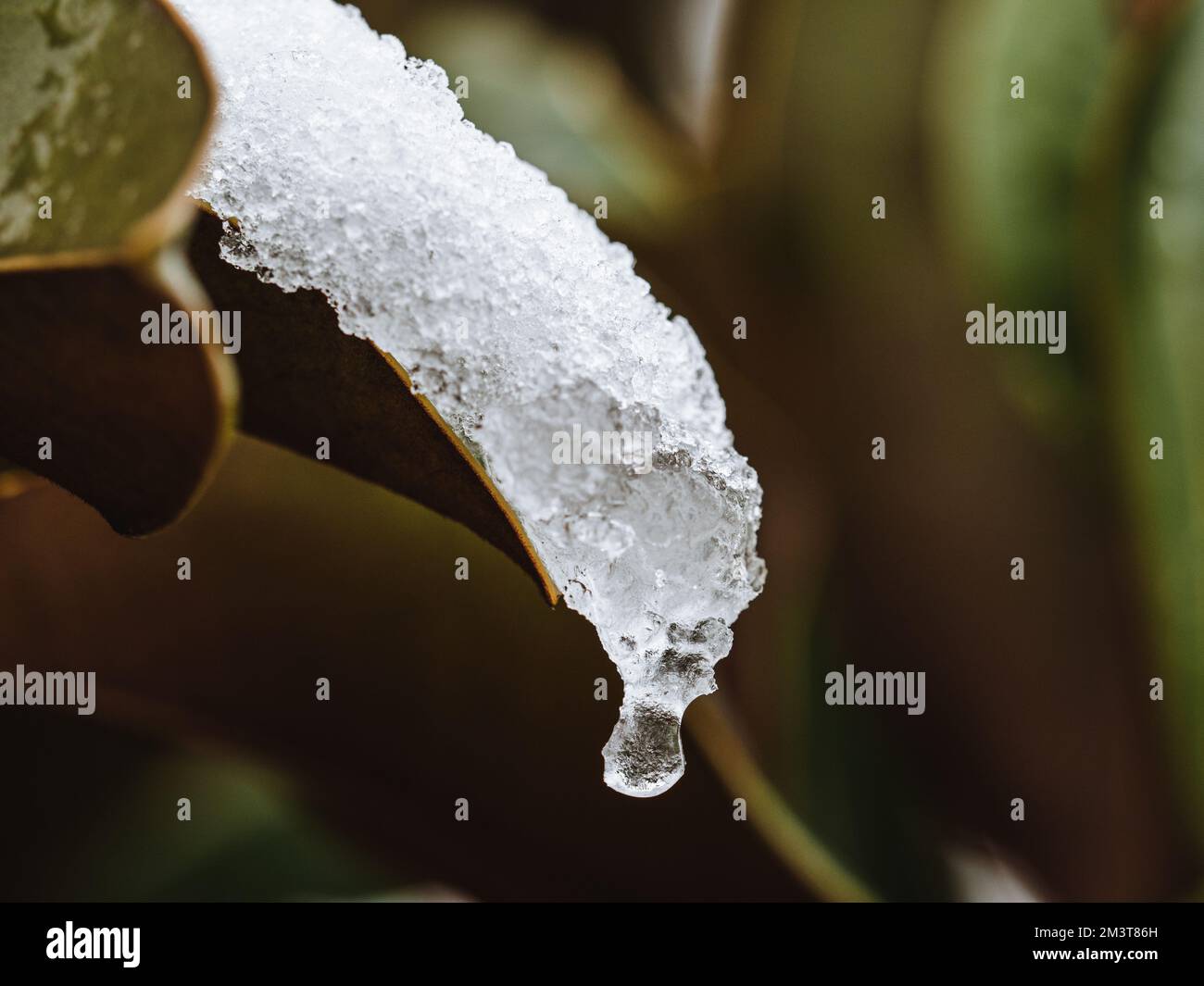 Object falling hi-res stock photography and images - Alamy