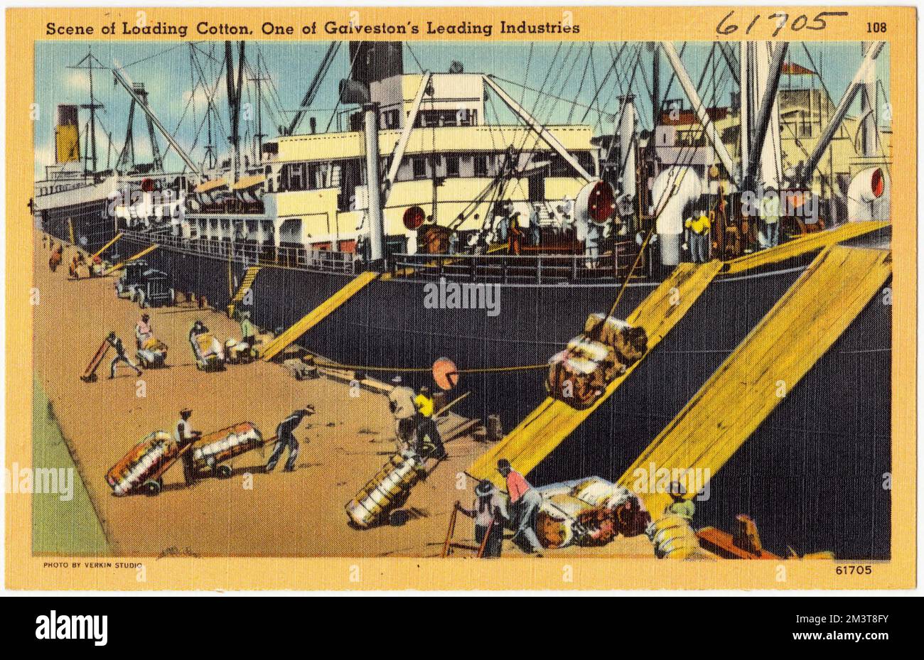 Scene of loading cotton, one of Galveston's leading industries , Ships ...