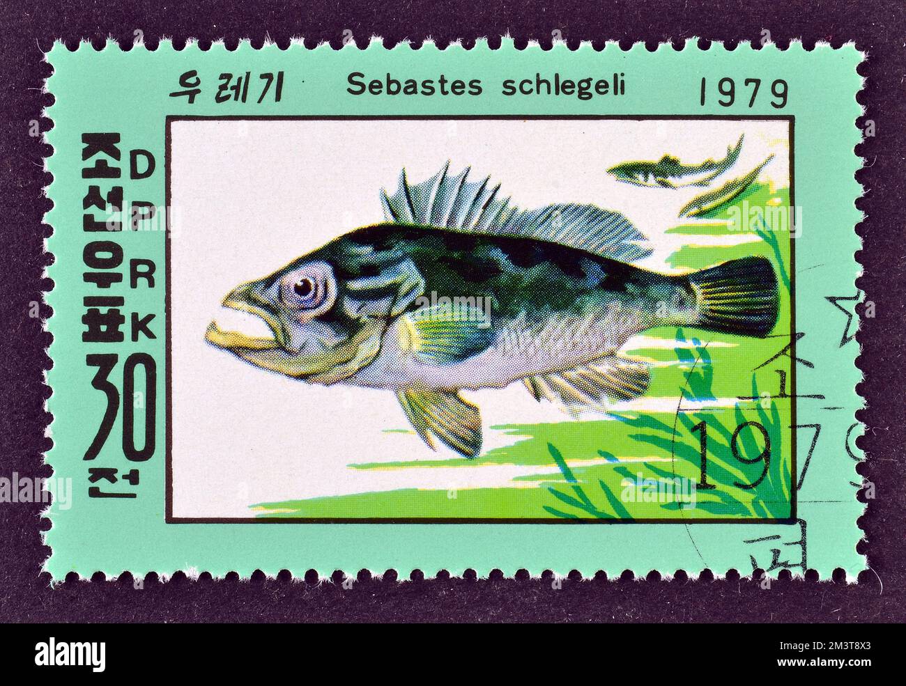 Postage stamp printed by North Korea that shows Korean Rockfish ...