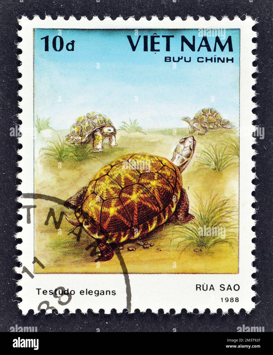Cancelled postage stamp printed by Vietnam, that shows Indian Star ...