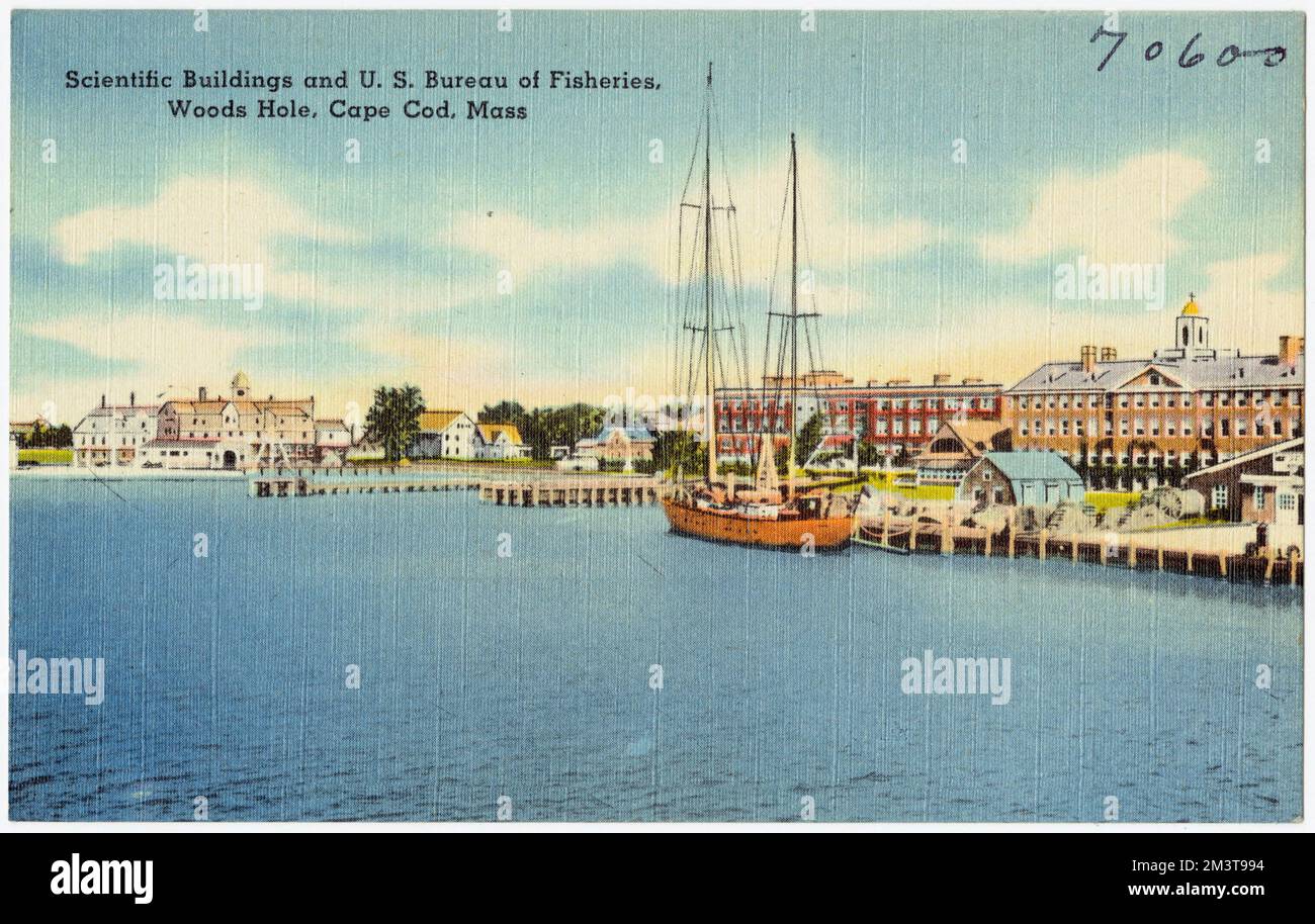 Scientific buildings and U. S. Bureau of Fisheries, Woods Hole, Cape ...