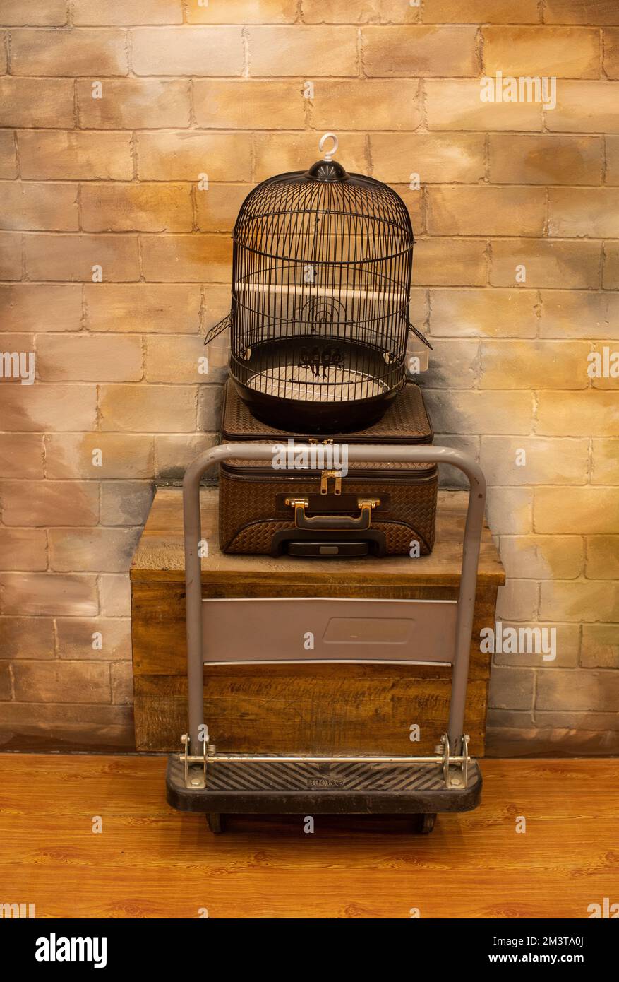 An old-fashioned bird cage on the cases Stock Photo - Alamy