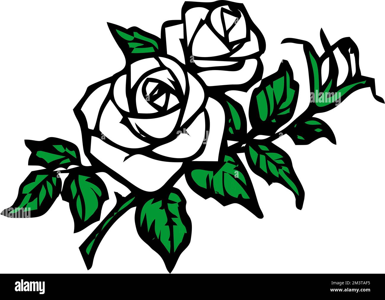 color drawing of a branch of a blooming white rose with a black outline ...