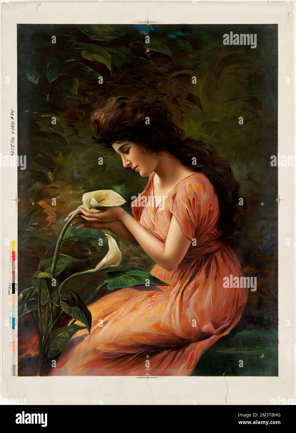 Seated woman gazing at calla lily , Beer, Brewing industry, Lilies ...