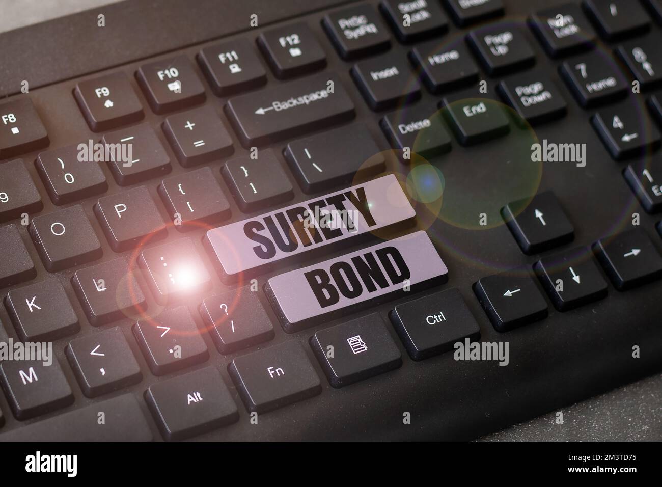 Sign displaying Surety Bond. Internet Concept Formal legally ...