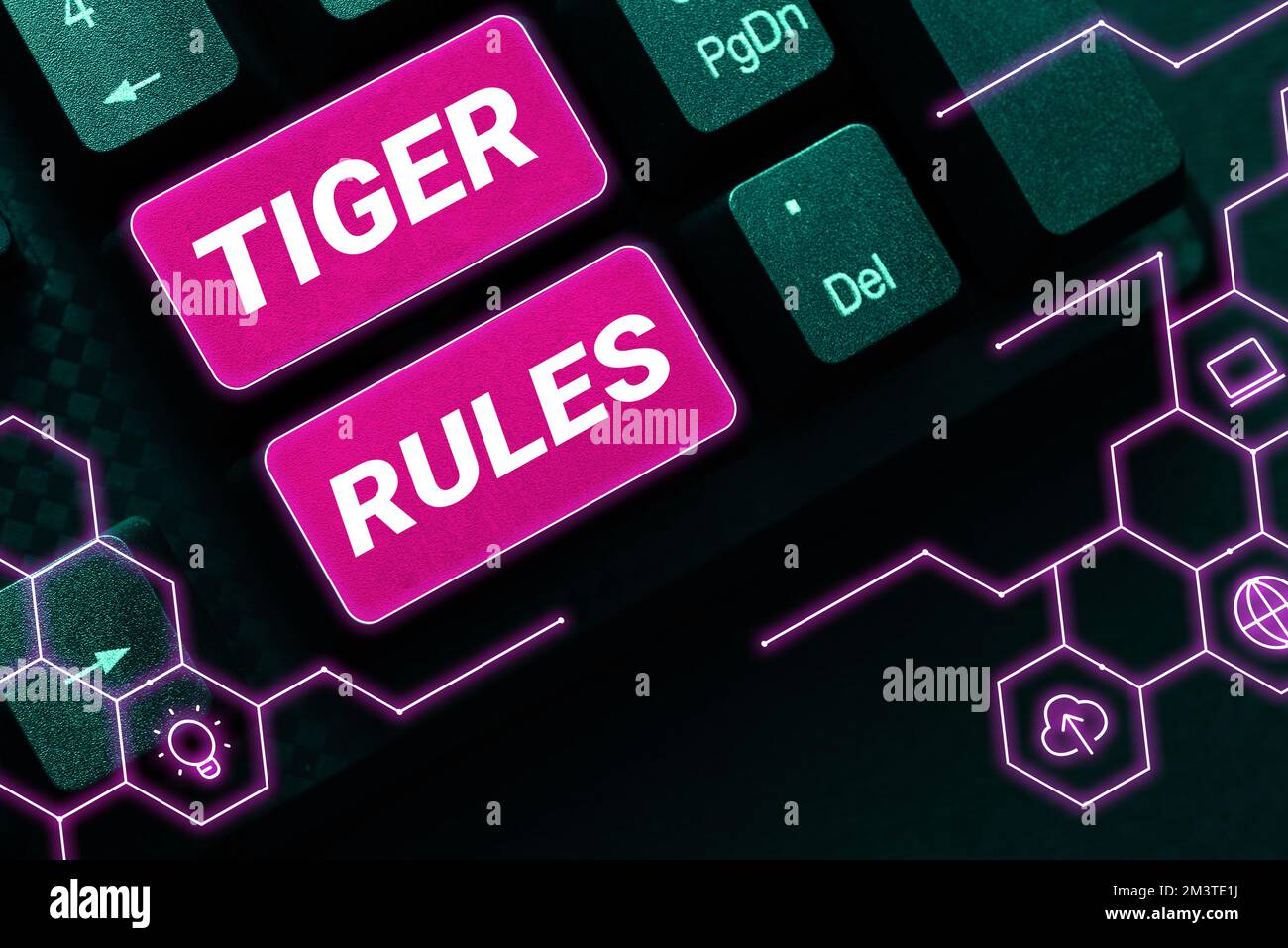 Inspiration showing sign Tiger Rules. Internet Concept Willpower and ...