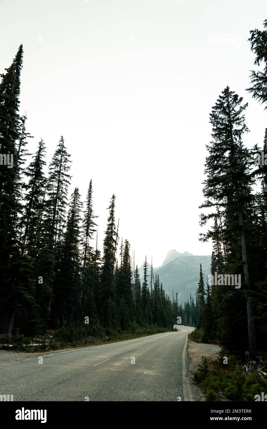 washington pass overlook near the north cascades national park eastern ...