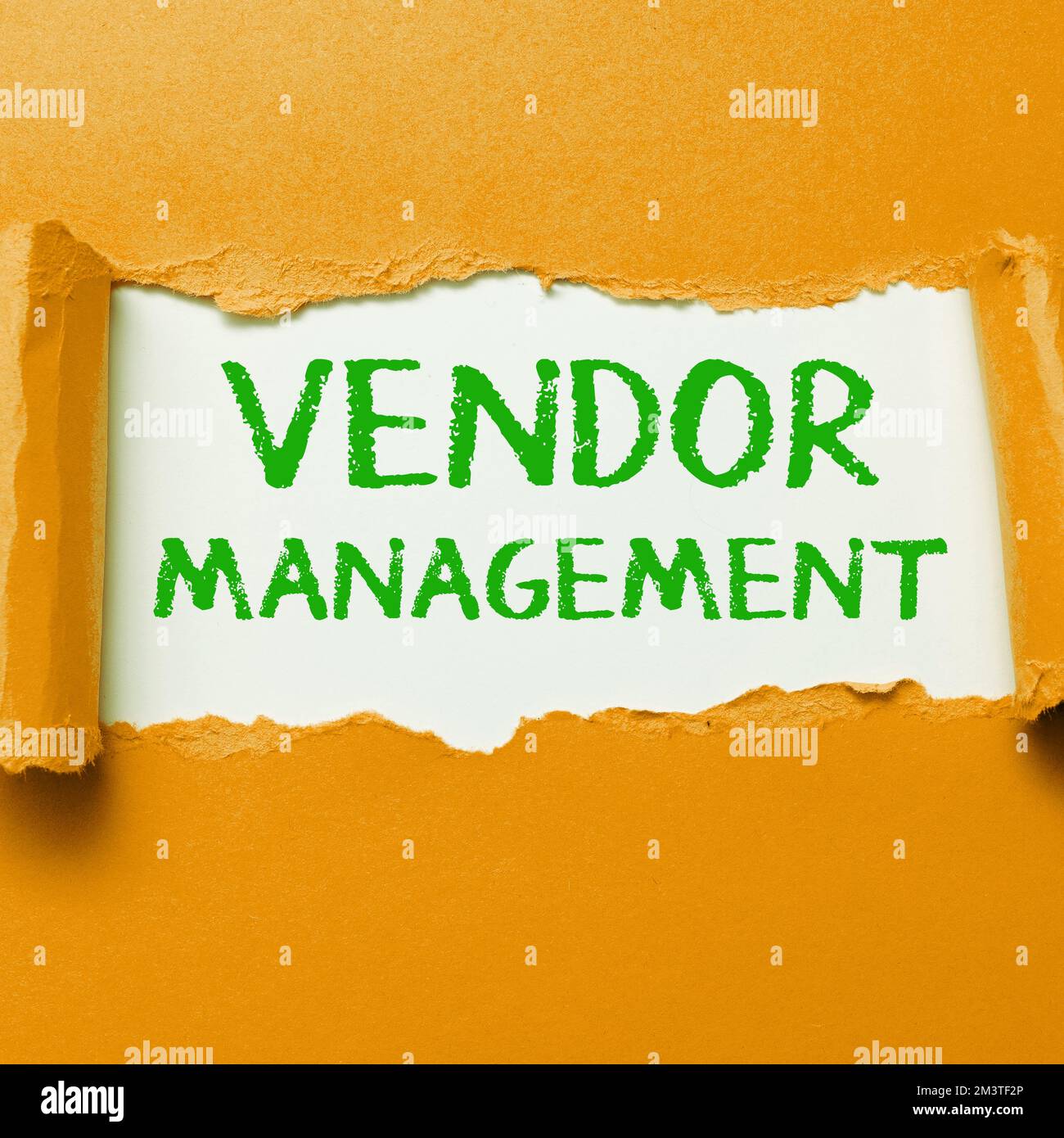 Text caption presenting Vendor Management. Business showcase activities ... Text caption presenting Vendor Management. Business showcase activities ...