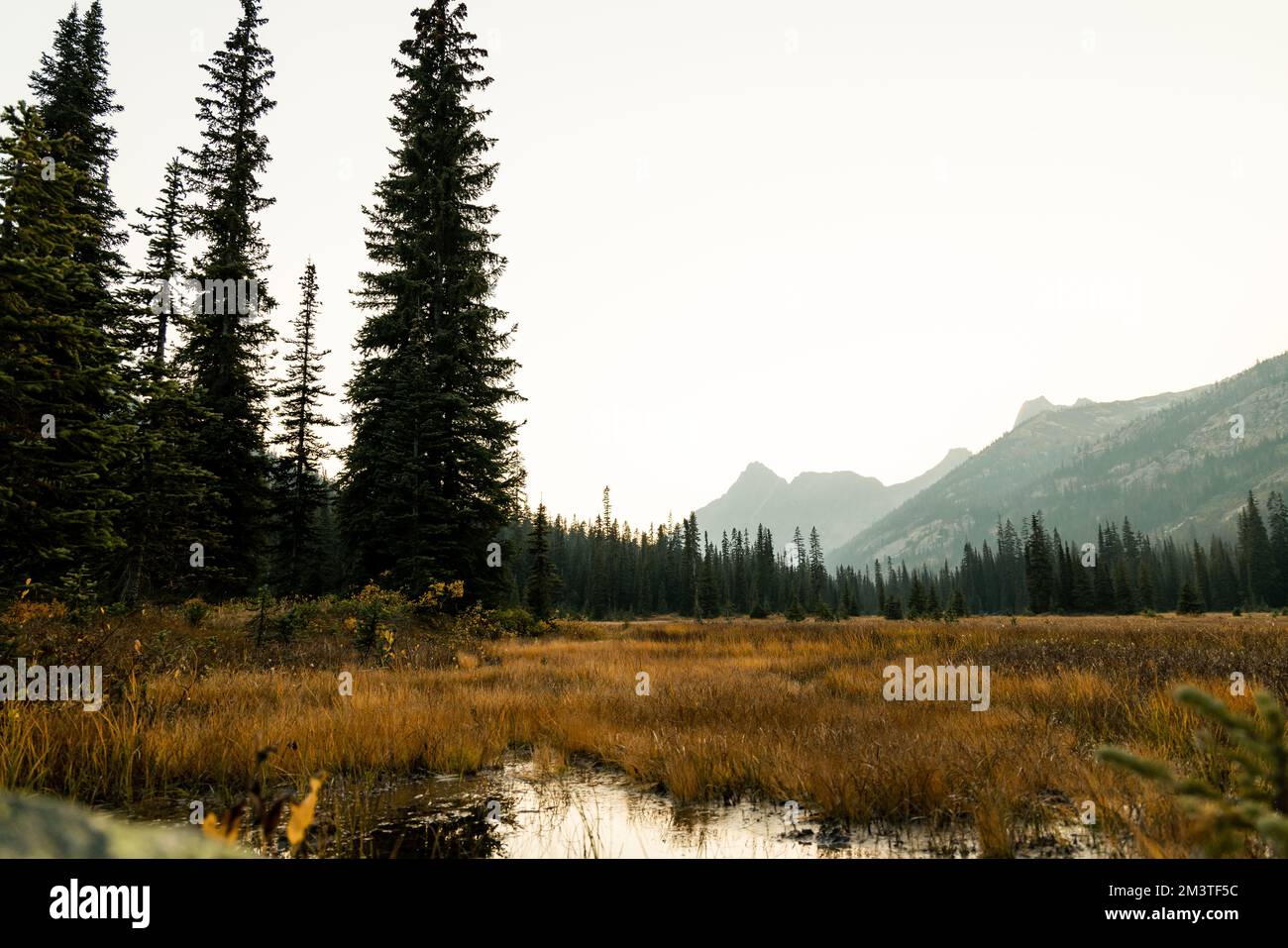 washington pass overlook near the north cascades national park eastern ...