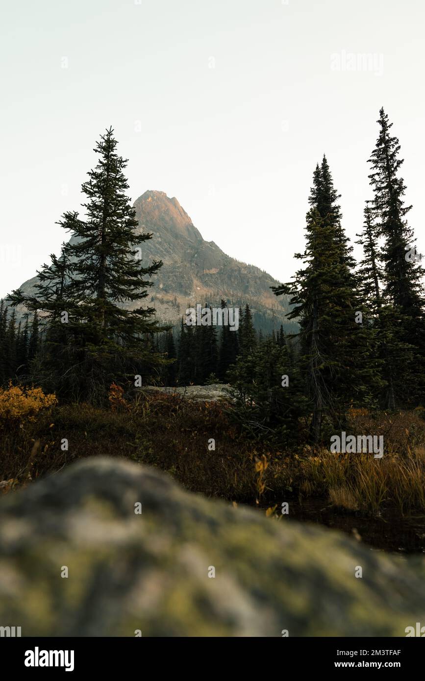 washington pass overlook near the north cascades national park eastern ...