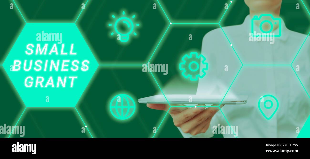 Writing displaying text Small Business Grant. Concept meaning an ...