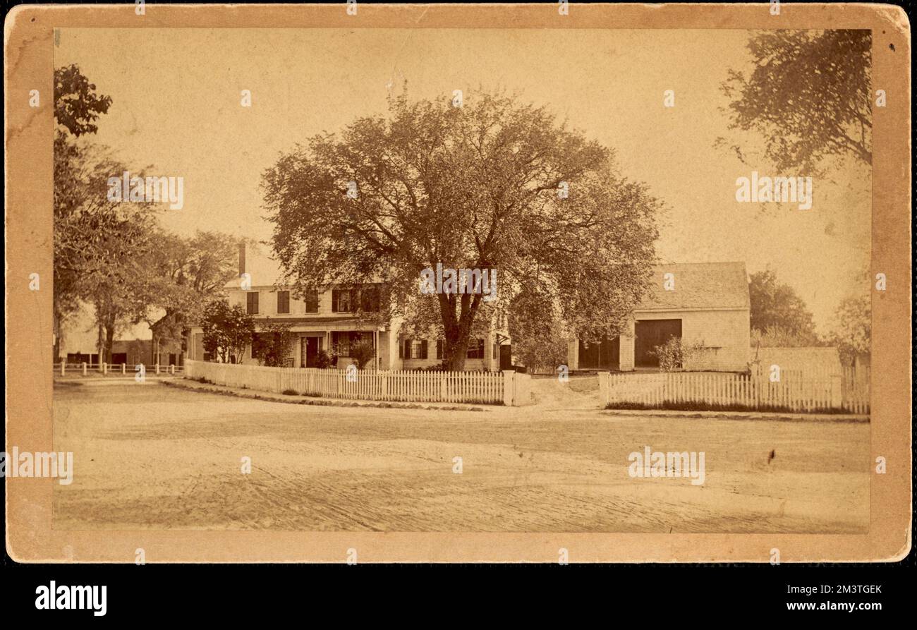 Sharon's weeping elm , Trees. Sharon Public Library Photo Collection ...