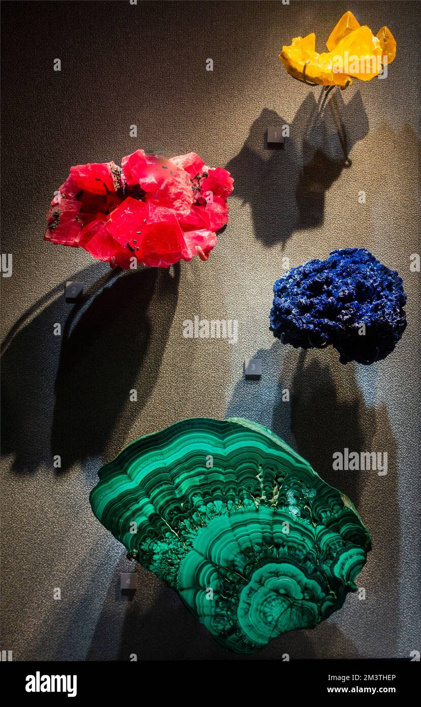 Hall of gems in the American Museum of Natural History museum in ...