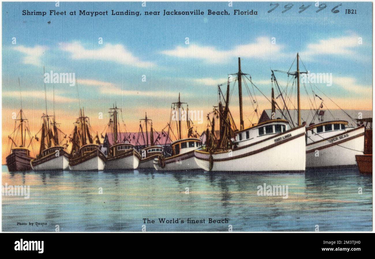 Shrimp fleet at Mayport landing, near Jacksonville Beach, Florida ...