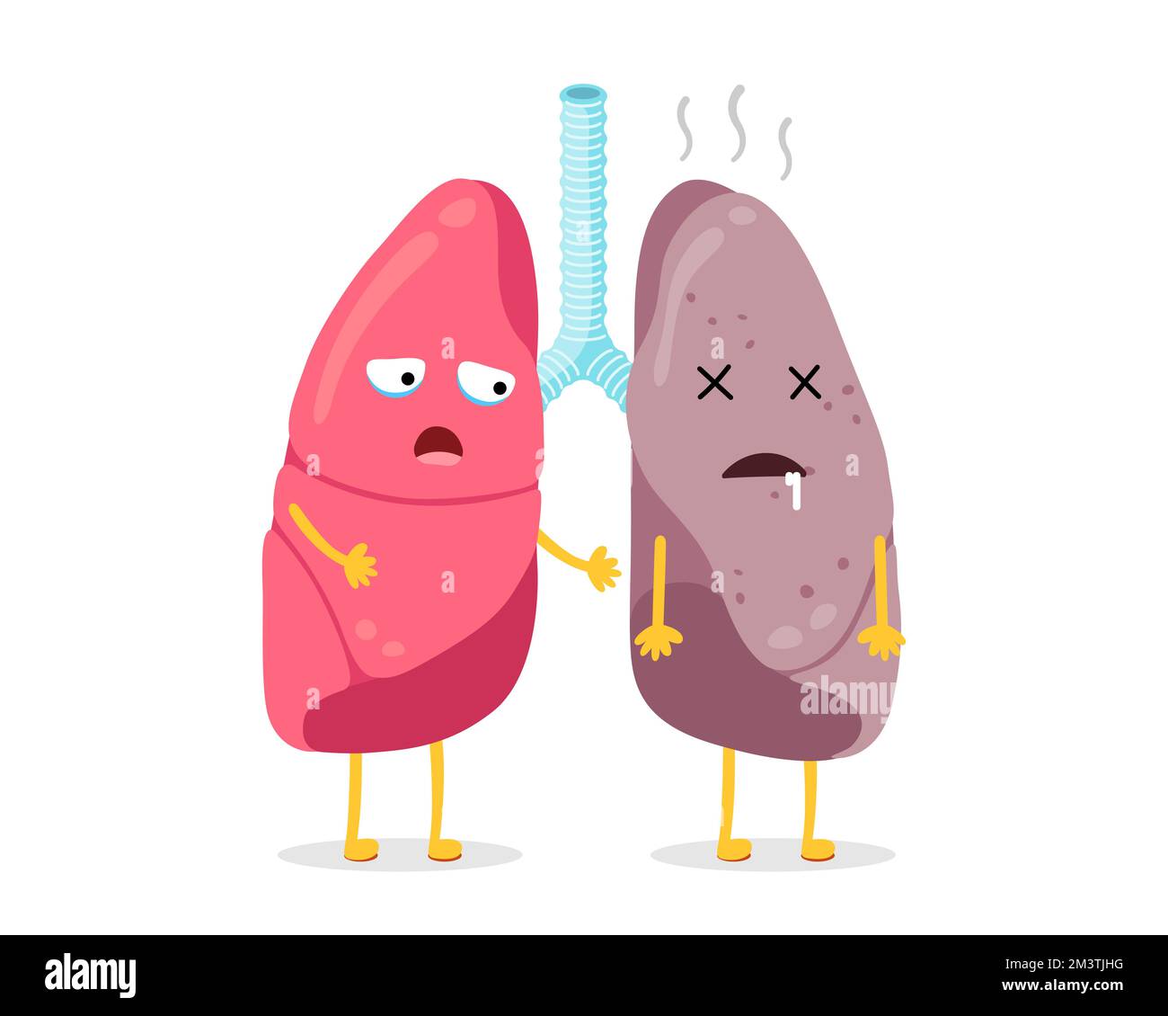 Lungs characters healthy and unhealthy comparison. Human lung pair good ...