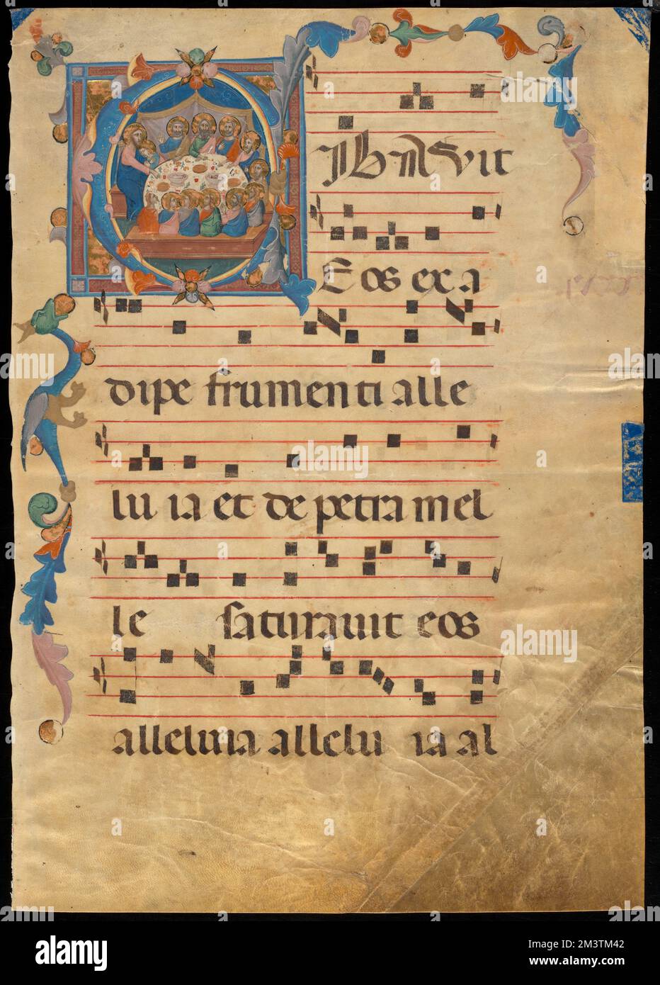 Single leaf from a 14th-century gradual : in Latin ,. Medieval and ...