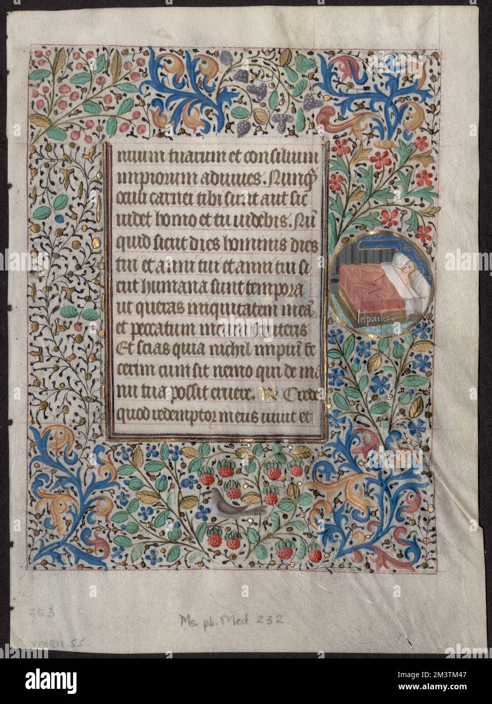 Single leaf from a 15th-century book of hours : in Latin ,. Medieval ...