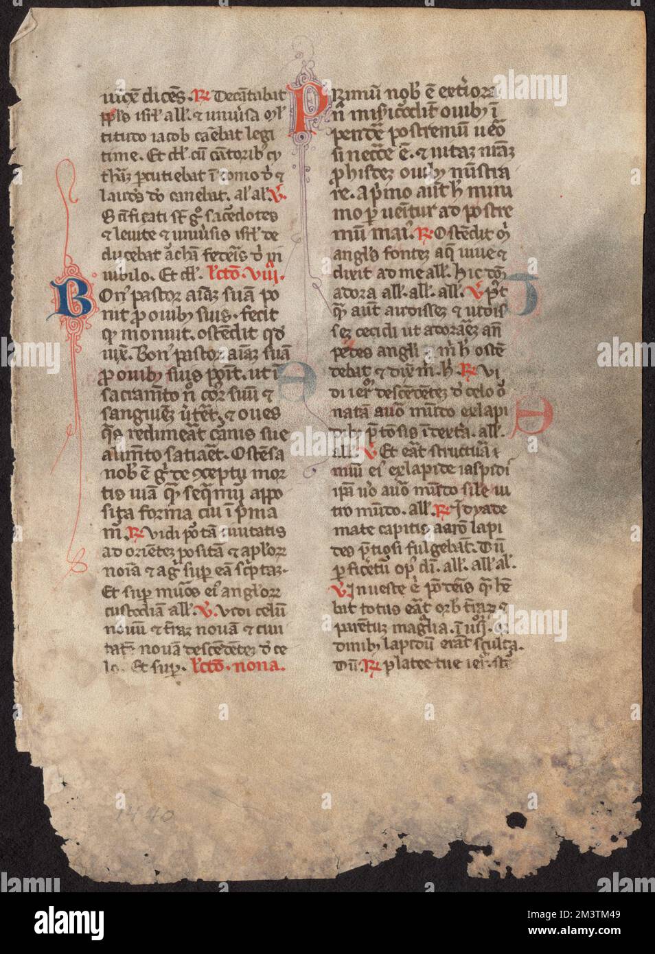 Single leaf from a 15th-century breviary : in Latin ,. Medieval and ...