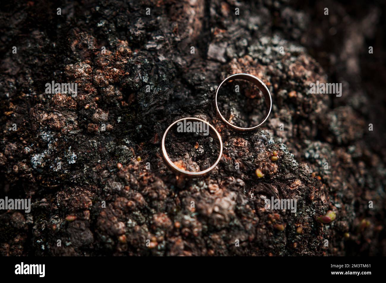 Two gold wedding rings on a brown wooden background Stock Photo - Alamy