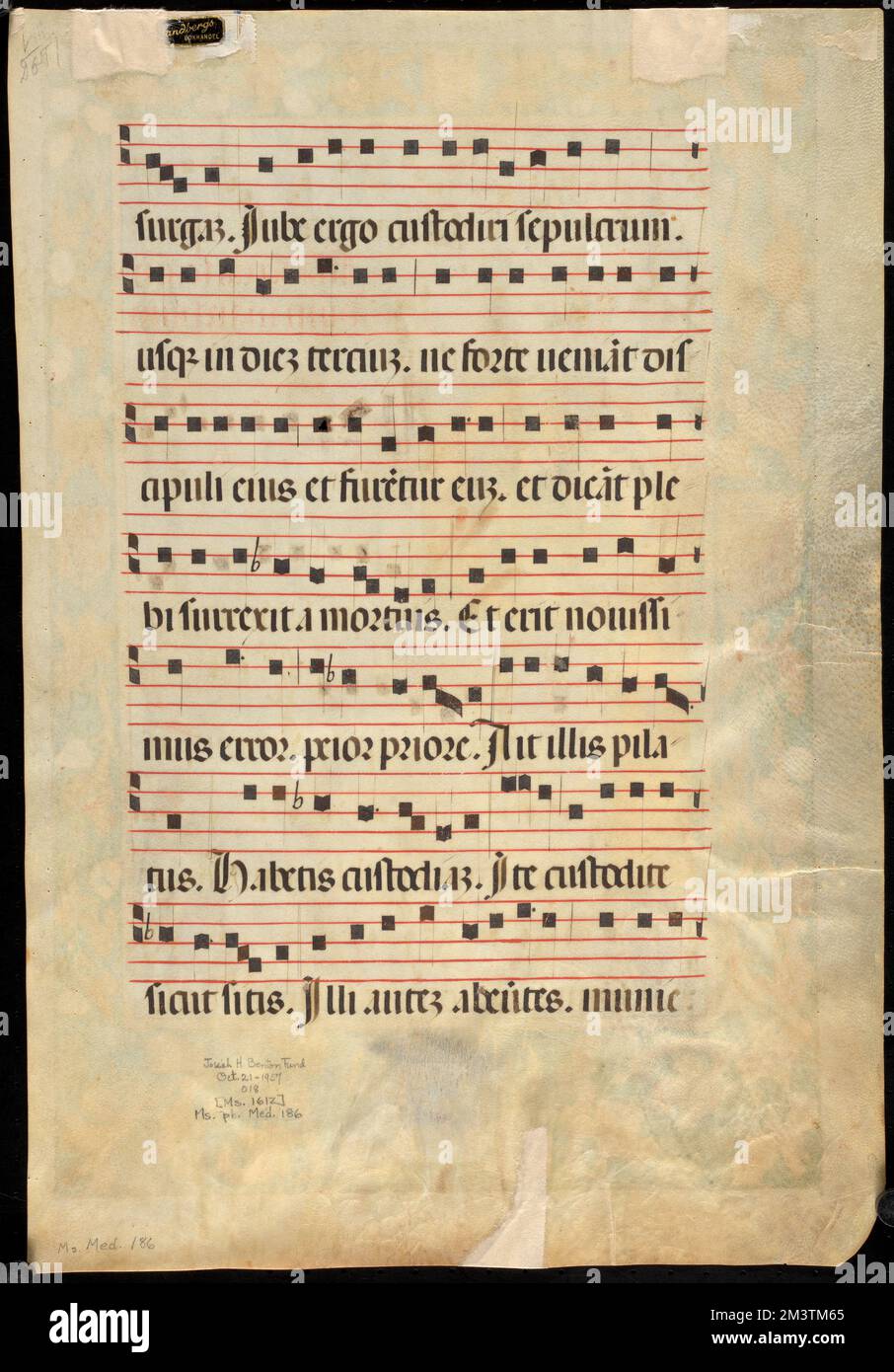 Single leaf from a 15th-century gradual : in Latin ,. Medieval and ...