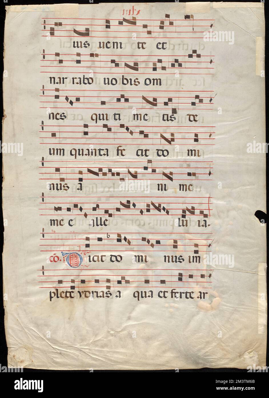Single leaf from a 15th-century gradual : in Latin ,. Medieval and ...
