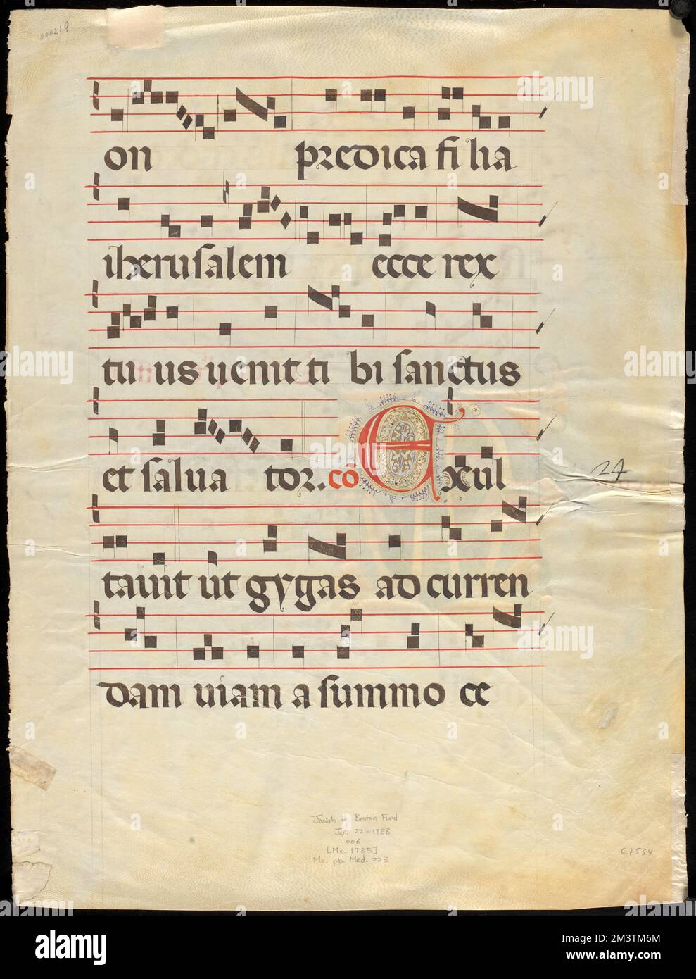 Single leaf from a 15th-century gradual : in Latin ,. Medieval and ...