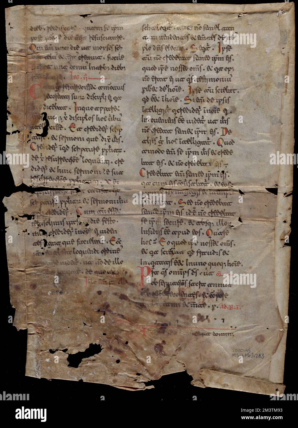 Single leaf from a Beneventan noted breviary : in Latin ,. Medieval and ...