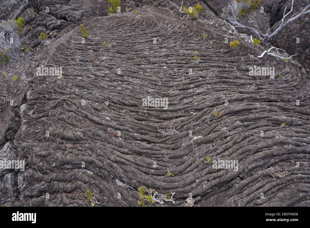 closeup of an unusual texture of the lava flow frozen in time by the ...