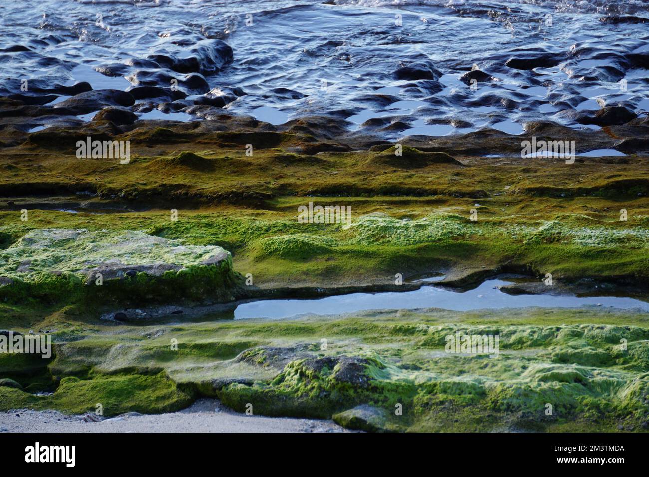 Unusual texture hi-res stock photography and images - Alamy