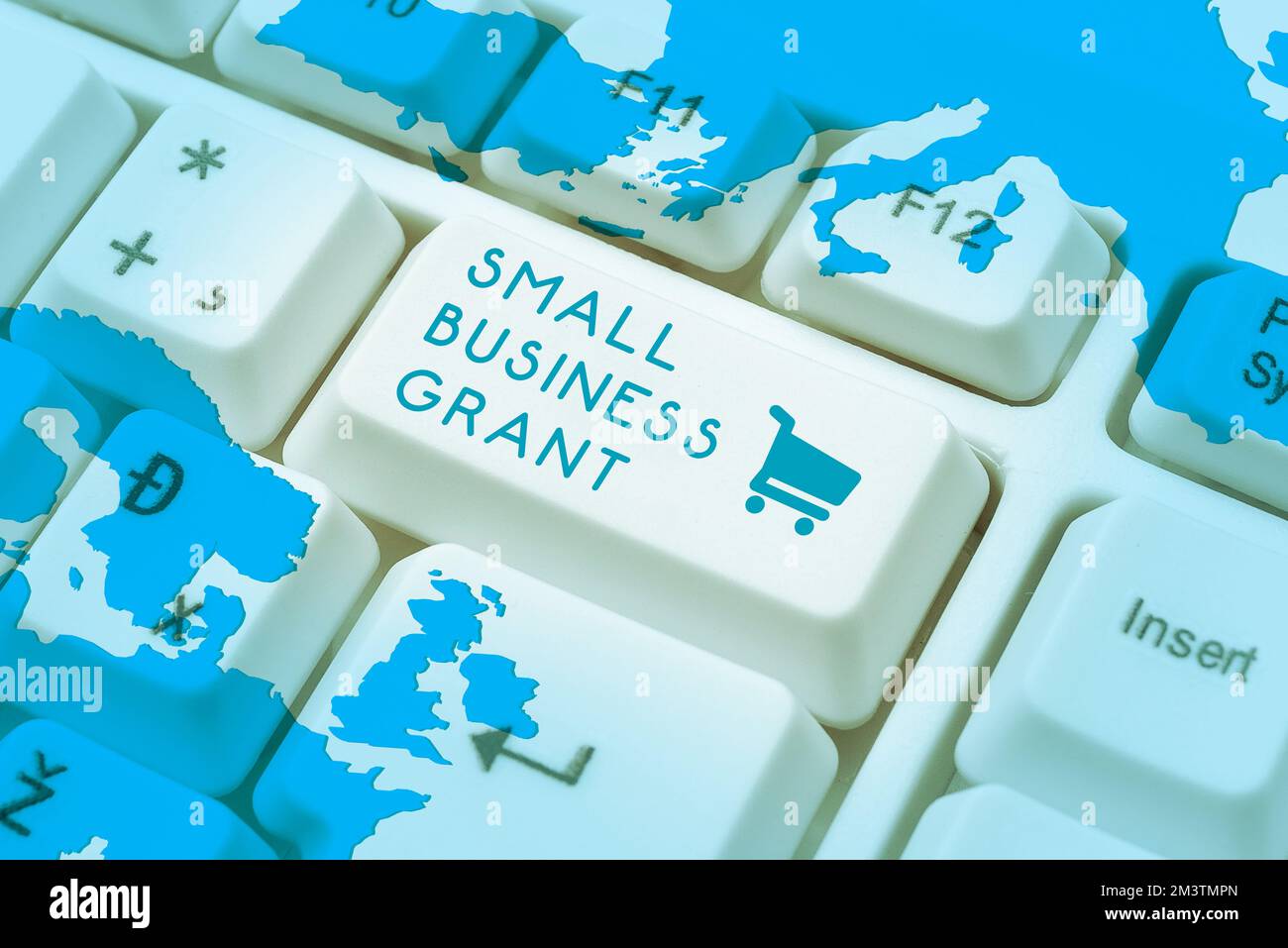 Sign displaying Small Business Grant. Business approach an individual ...