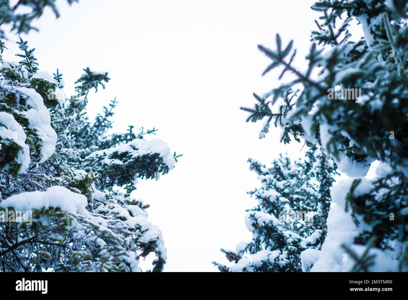 Magnificent winter weather hi-res stock photography and images - Alamy