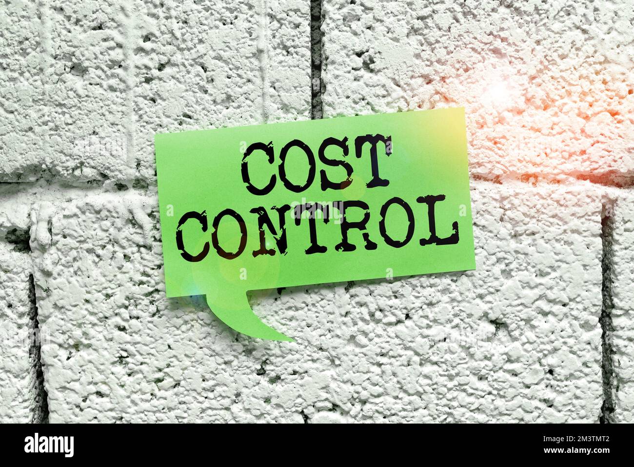 Conceptual caption Cost Control. Word for practice of identifying and ...