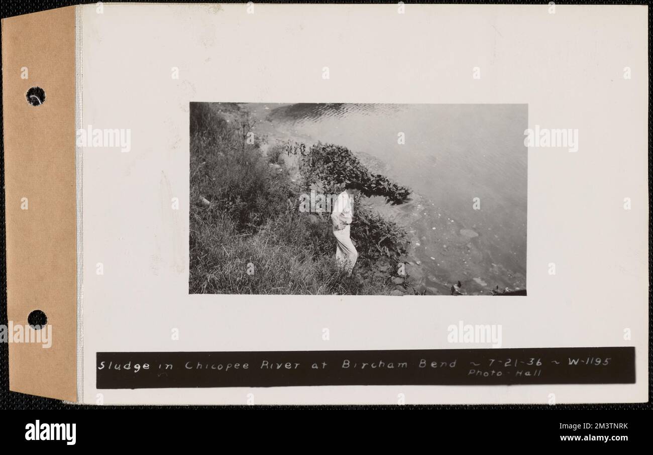 Sludge in Chicopee River at Bircham Bend, Chicopee and Springfield ...