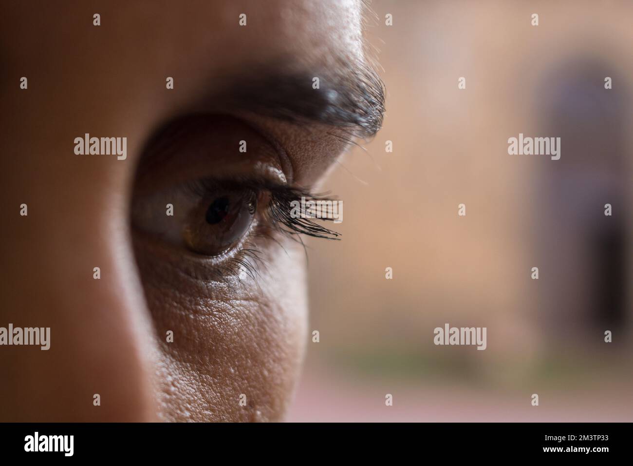 A close-up of a person's eye with long eyelashes and thick brows Stock ...