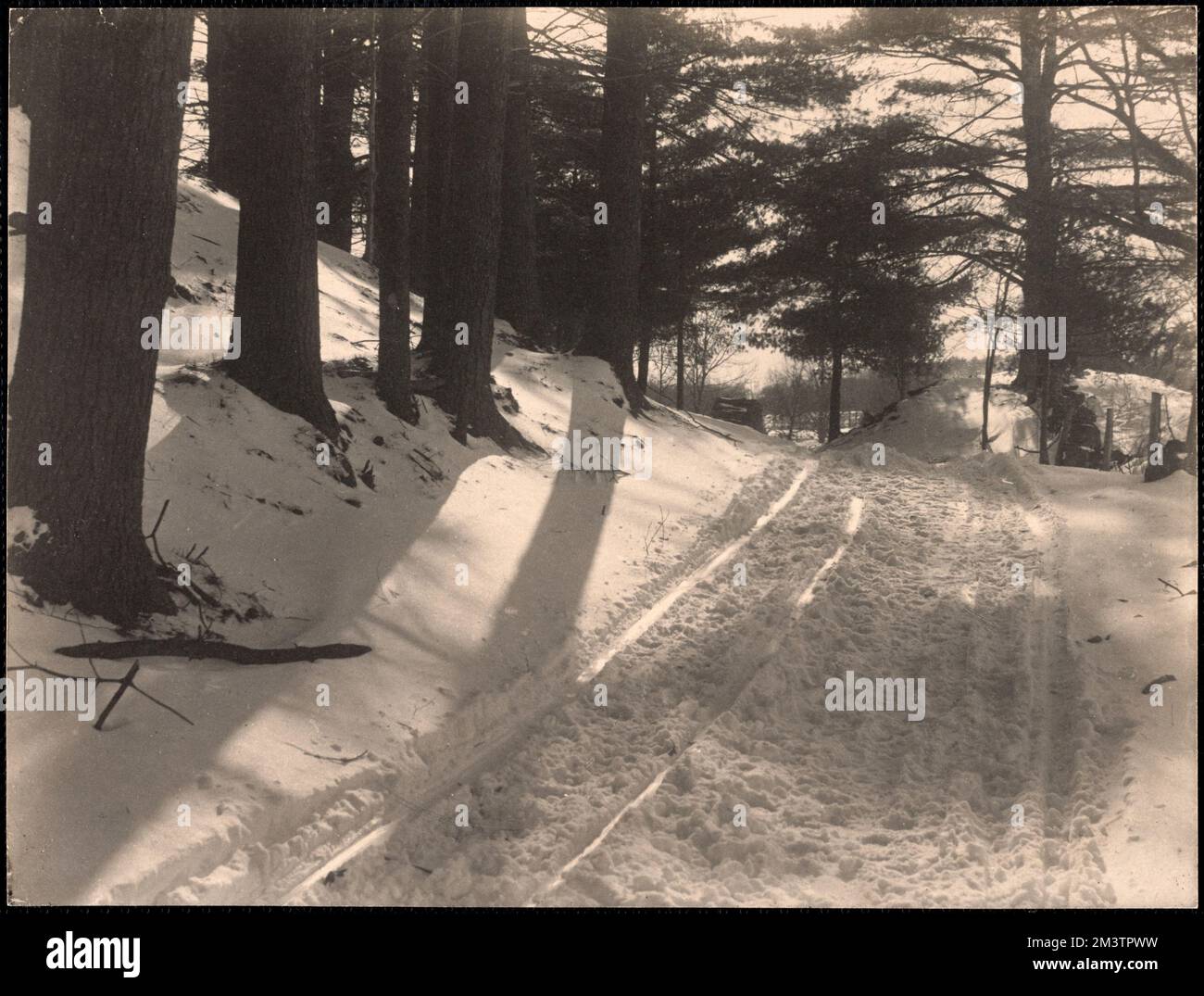 Snow Scene, Draper Road (?) , Snow, Roads, Trees. Wayland Free Public ...