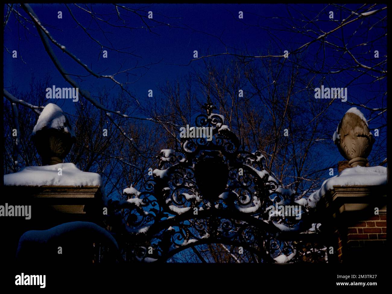 Harvard university campus snow hi-res stock photography and images - Alamy