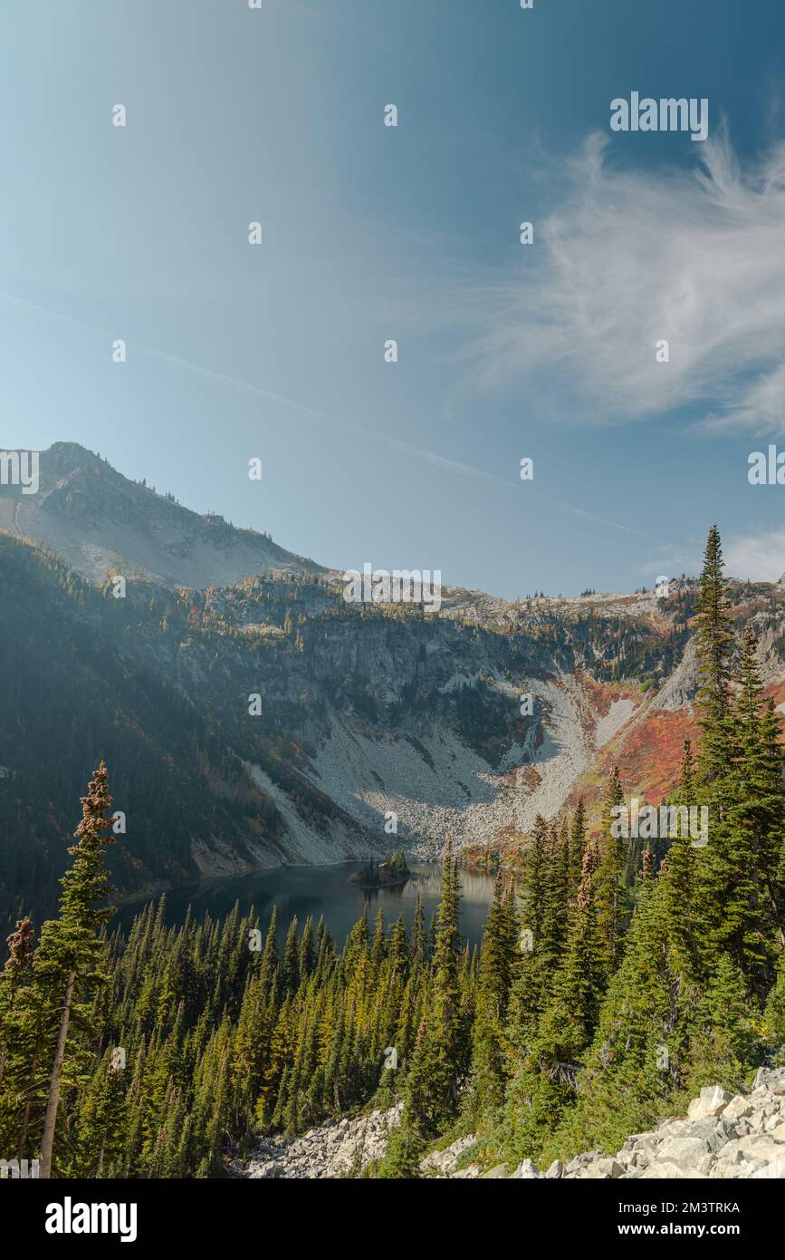 Vertical Photo of lush high mountain altitude massive conifer trees off ...