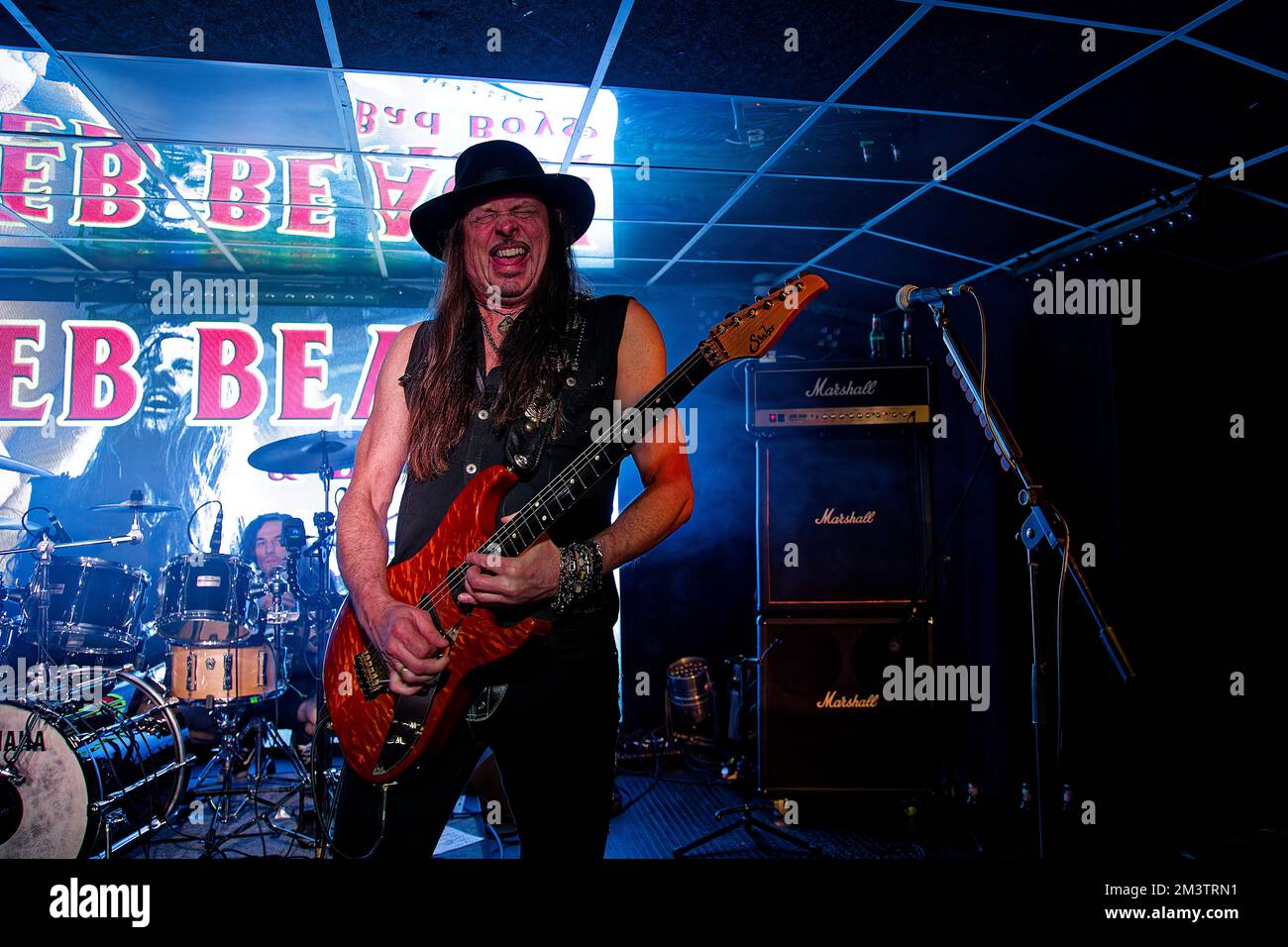 Whithesnake hi-res stock photography and images - Alamy