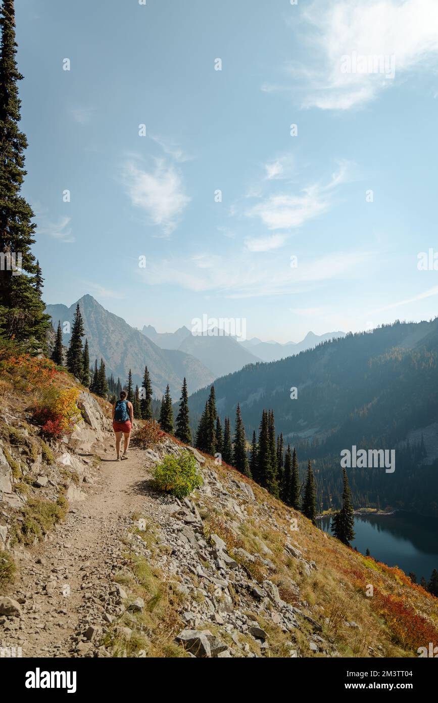 Vertical Photo of 30s woman standing on trail looking out with lush ...