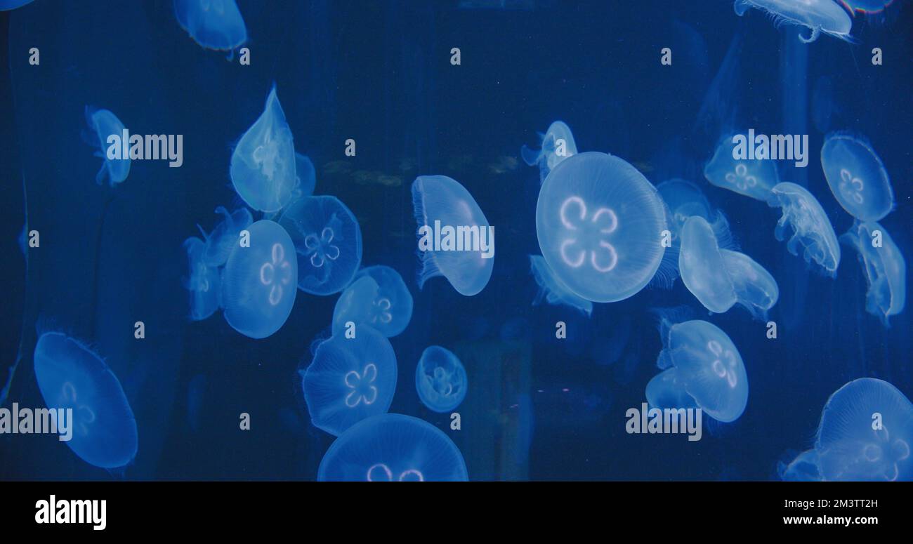 Pcychedelic hi-res stock photography and images - Alamy