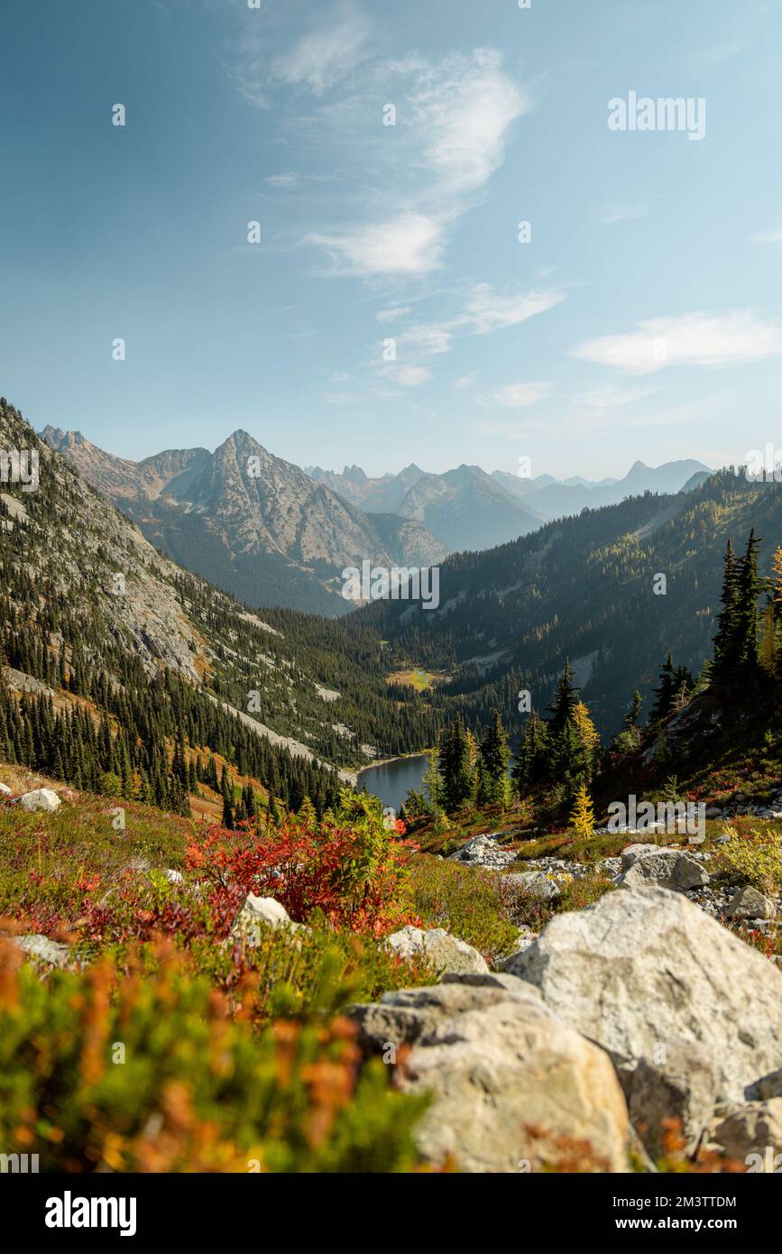 Vertical wide Photo of lush high mountain altitude massive conifer ...