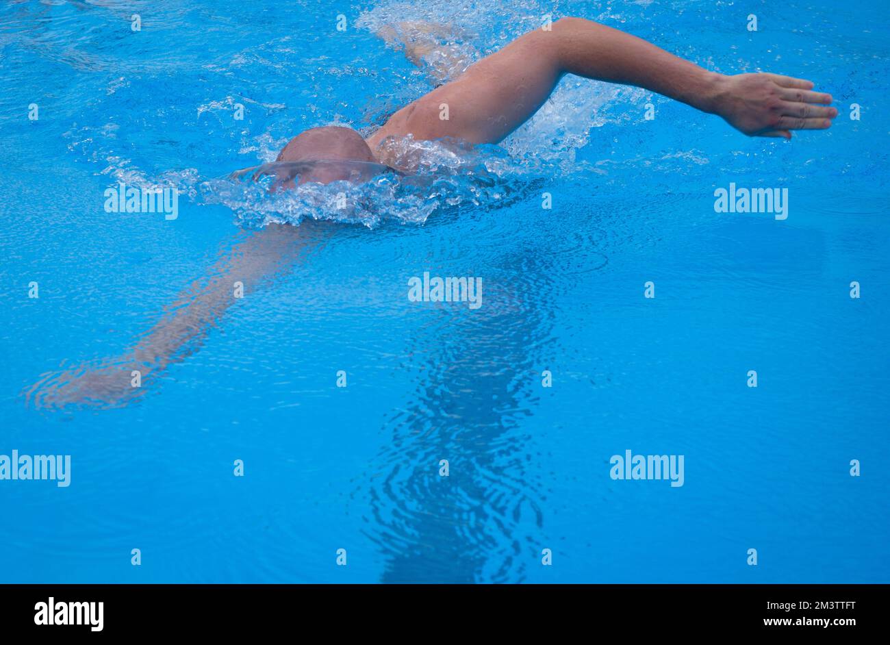 Freestyle swimming in the swimming pool. Young man swimming the front ...