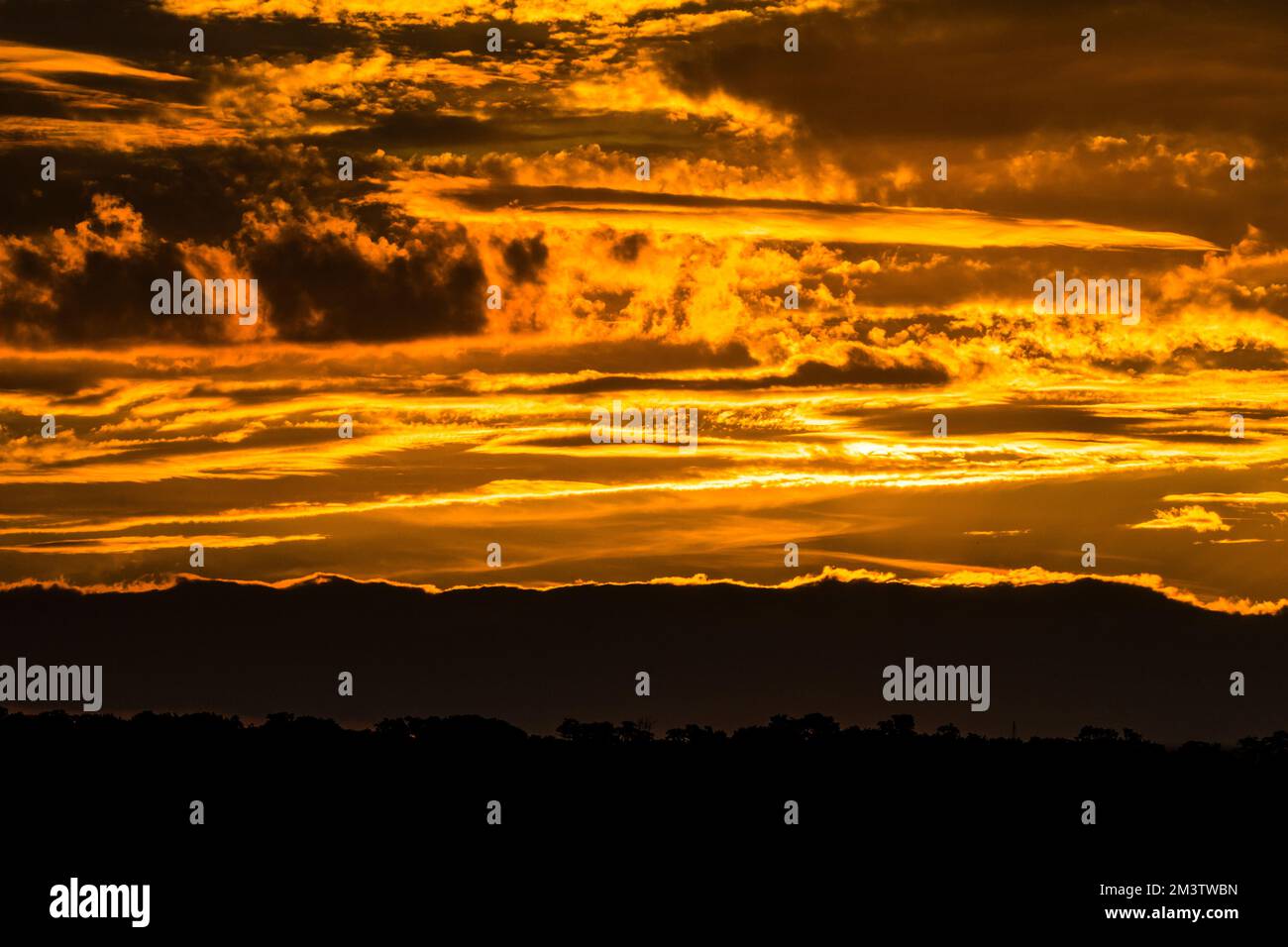 A beautiful sunset with dark yellow shades and the sunlight appearing ...