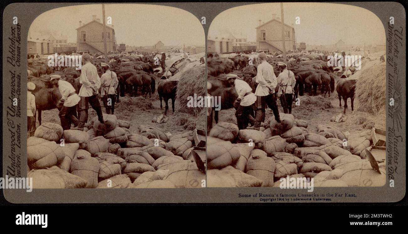 Some of Russia's famous Cossacks in the far east , Soldiers, Horses ...