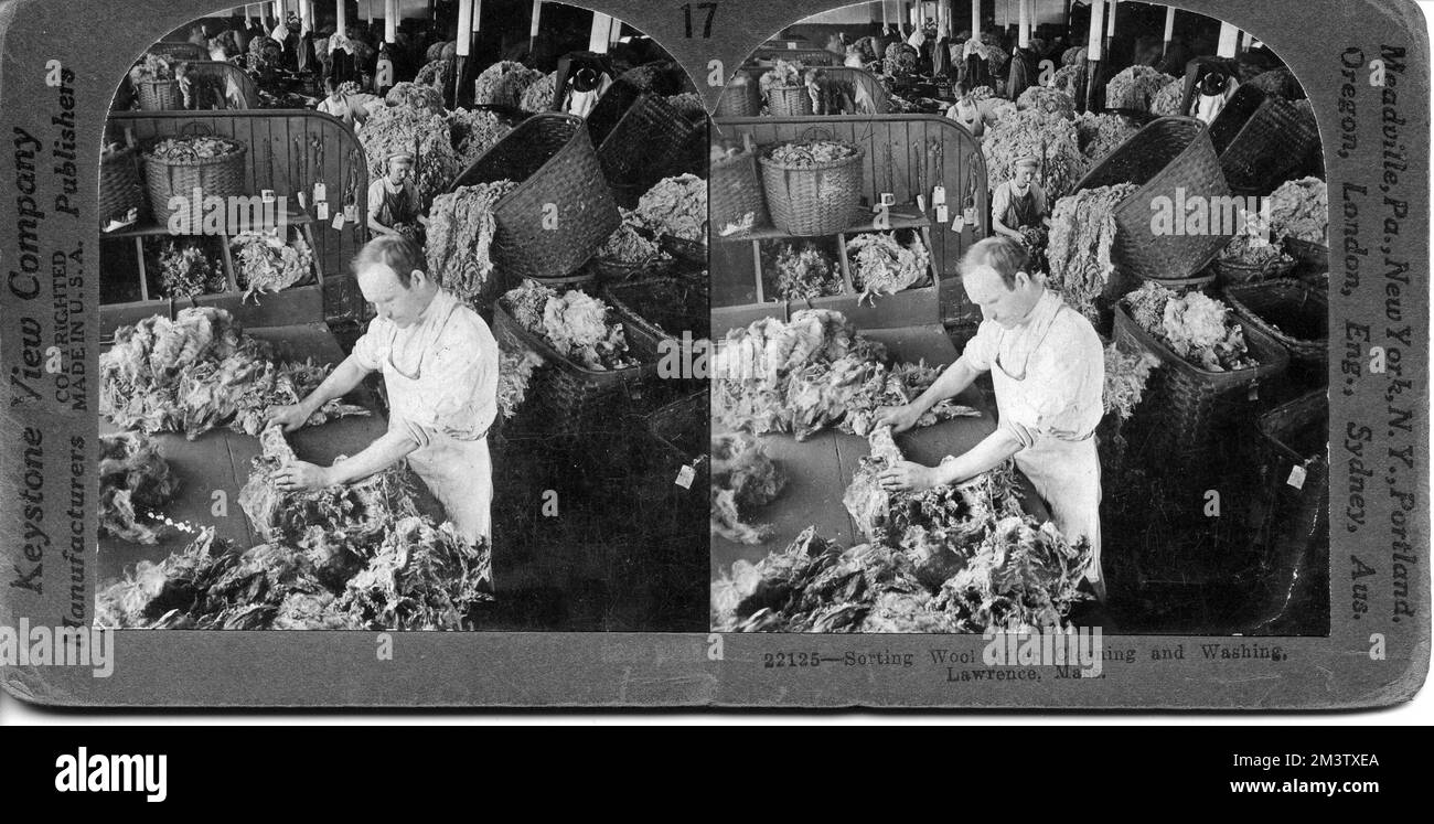 Sorting wool after cleaning and washing, Lawrence, Mass. , Textile ...