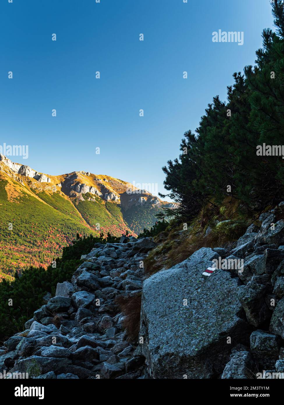 Rocky mountain path in autumn colorful foliage with red tourist marking ...