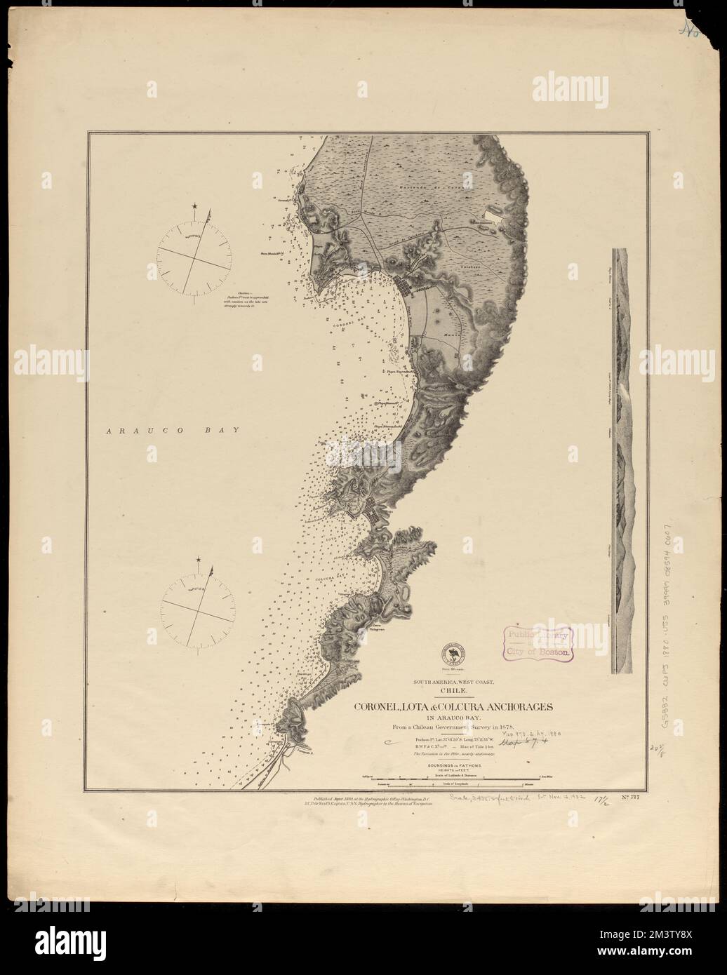 Arauco hi-res stock photography and images - Alamy